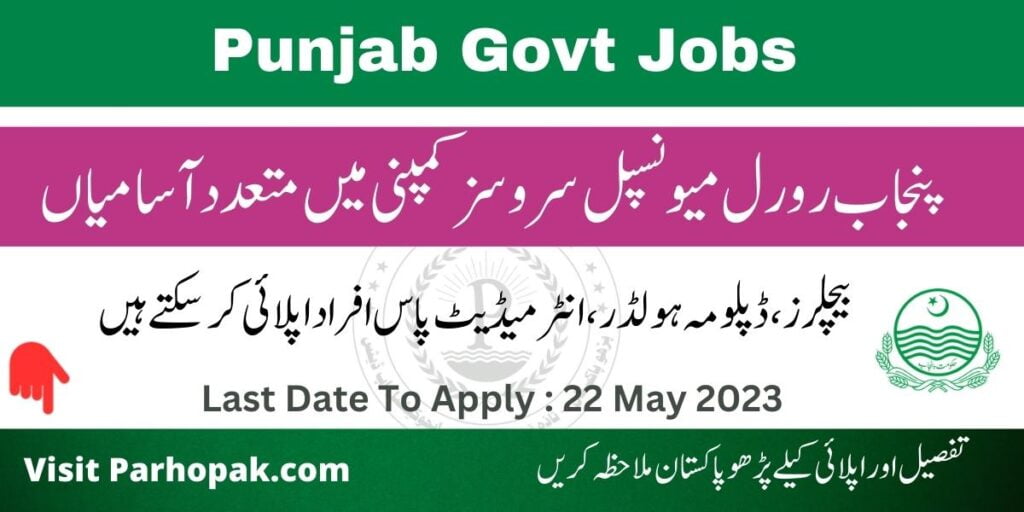 Punjab Govt Jobs 2023 at Punjab Probation and Parole Service - NTS